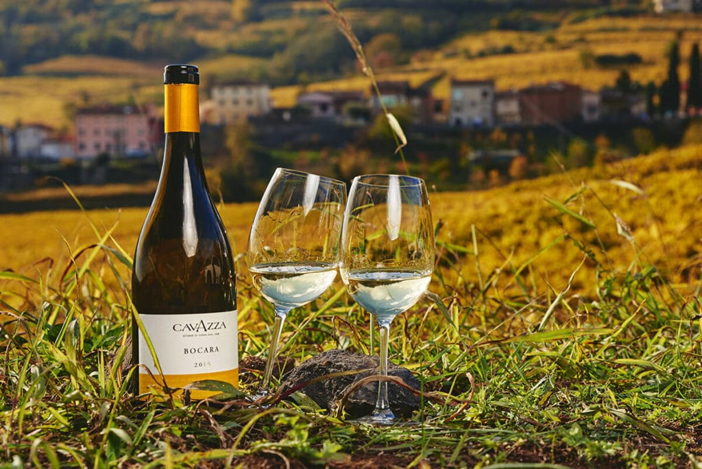 1928 - 2018: We celebrate the 90th harvest of Bocara! - Cavazza